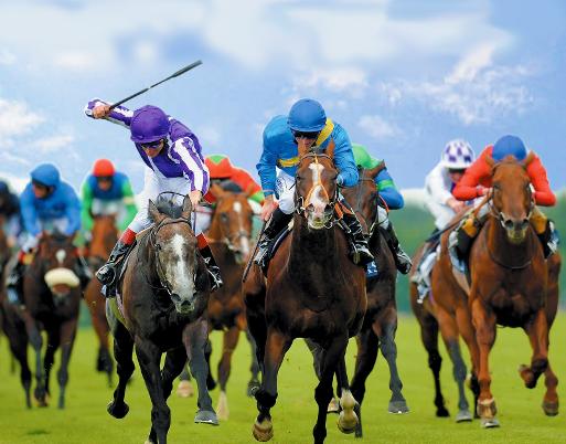 Book Your Race Night Here | Complete Hosted Packages - Liverpool Based